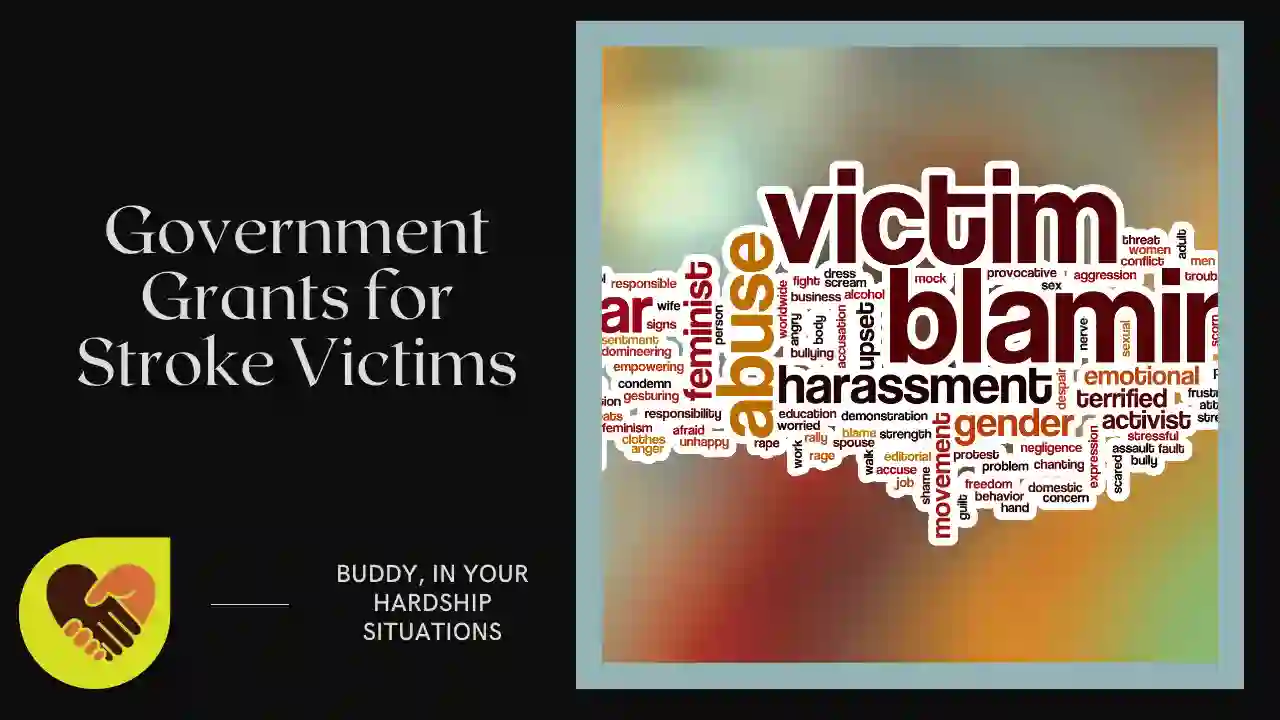 Government Grants for Stroke Victims 2025