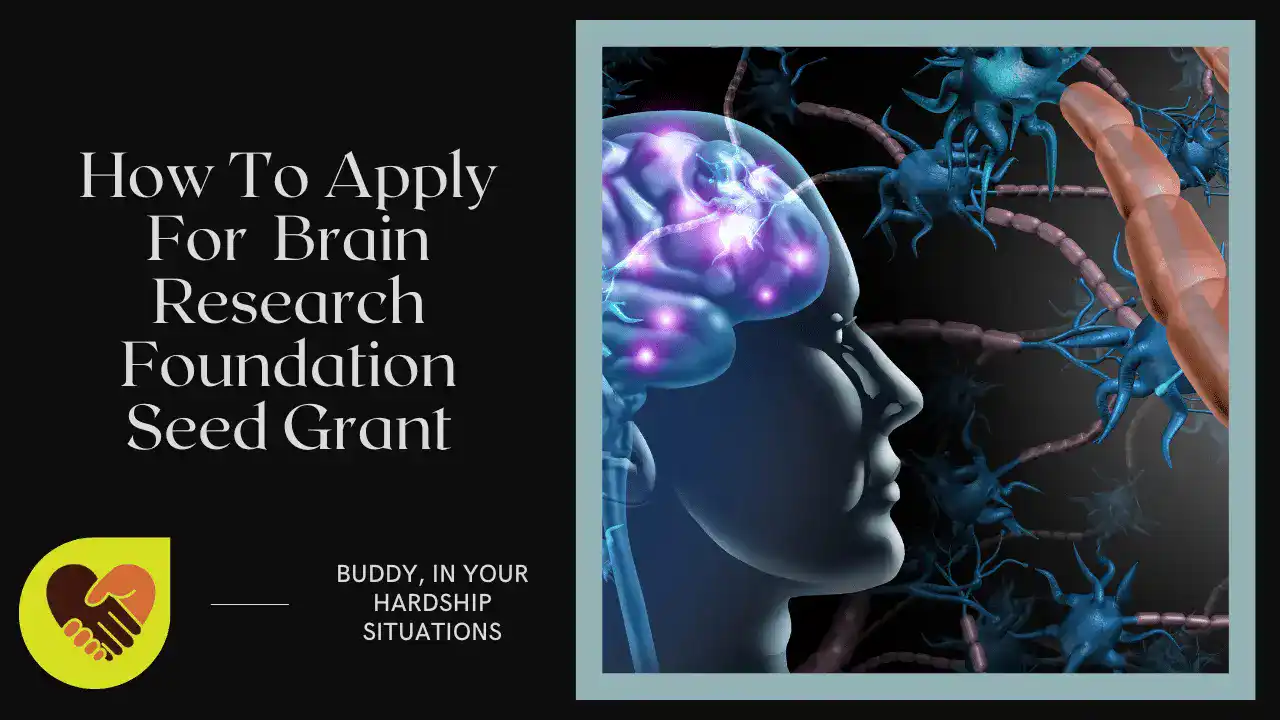 Brain Research Foundation Seed Grant 2025